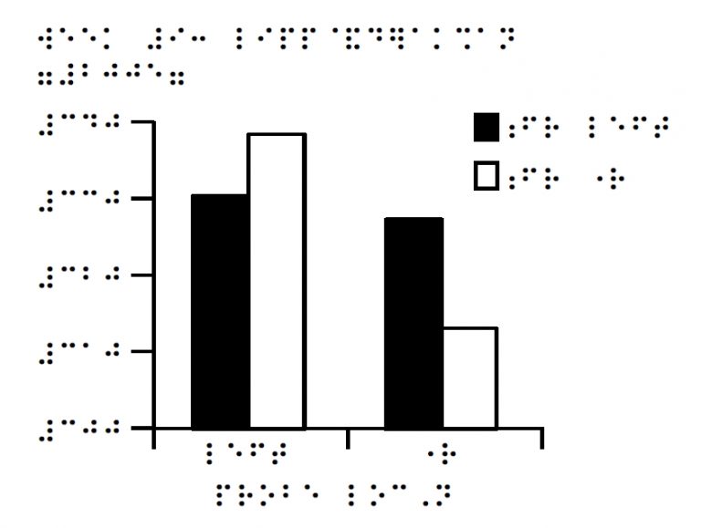 Blog | Braille Maths And Tactile Diagrams | Making Maths Accessible